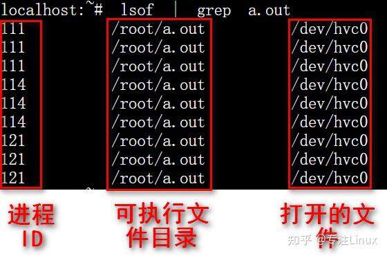 【Linux101-16】lsof - 知乎