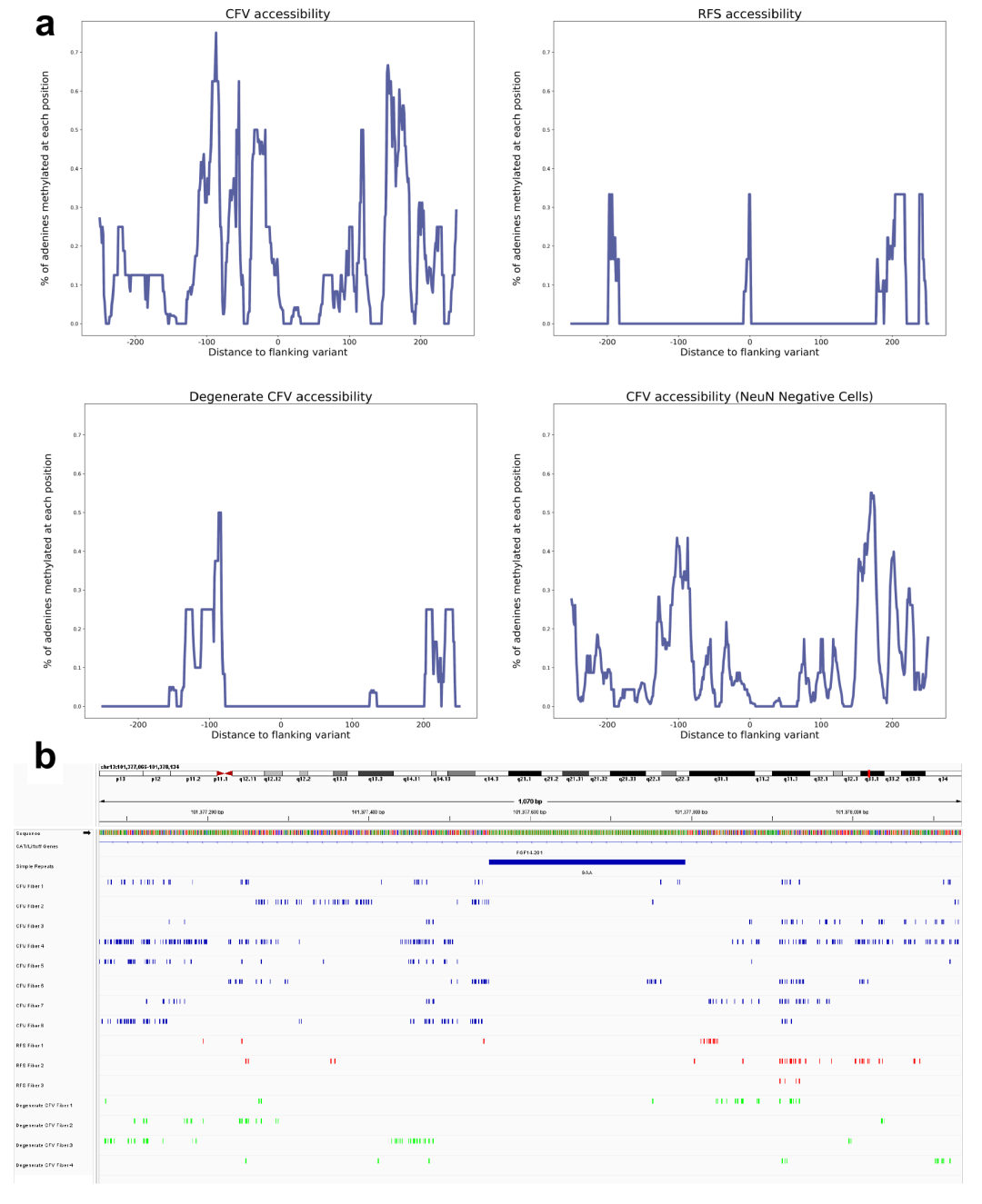 贝瑞基因新品发布 | Fiber-seq引领长读长表观组学研究浪潮 - 知乎