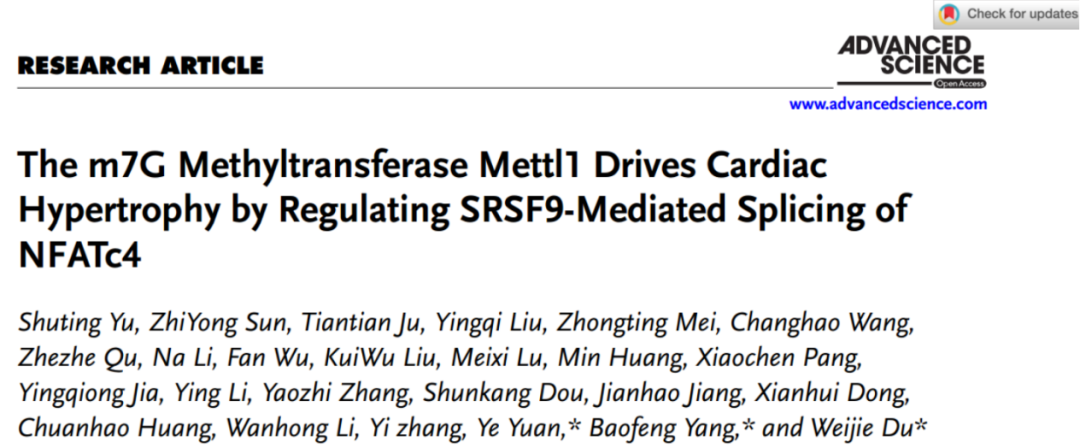 杨宝峰院士团队最新成果 | 云序助力揭示RNA修饰m7G调控心肌肥厚的机制研究 - 知乎