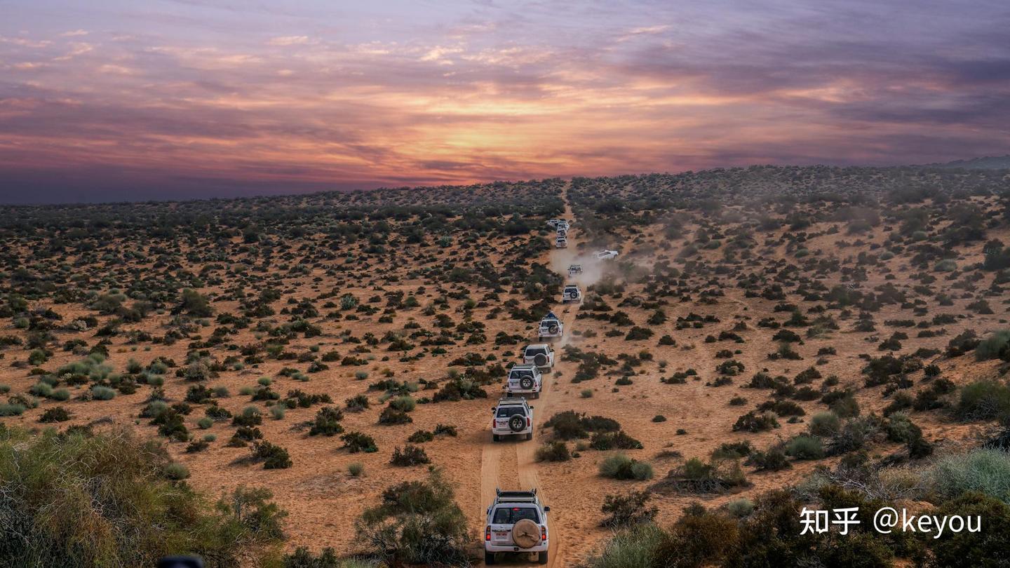 前端必学 40个精选案例实战 一课吃透HTML5+CSS3+JS - 知乎