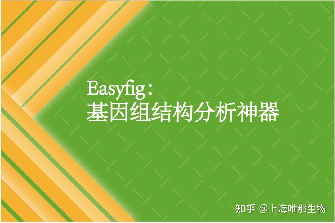 Easyfig怎么使用? - 知乎