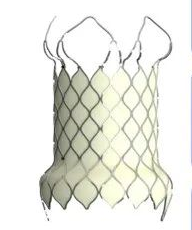 干式瓣膜行业的企业及产品布局现状 - 知乎