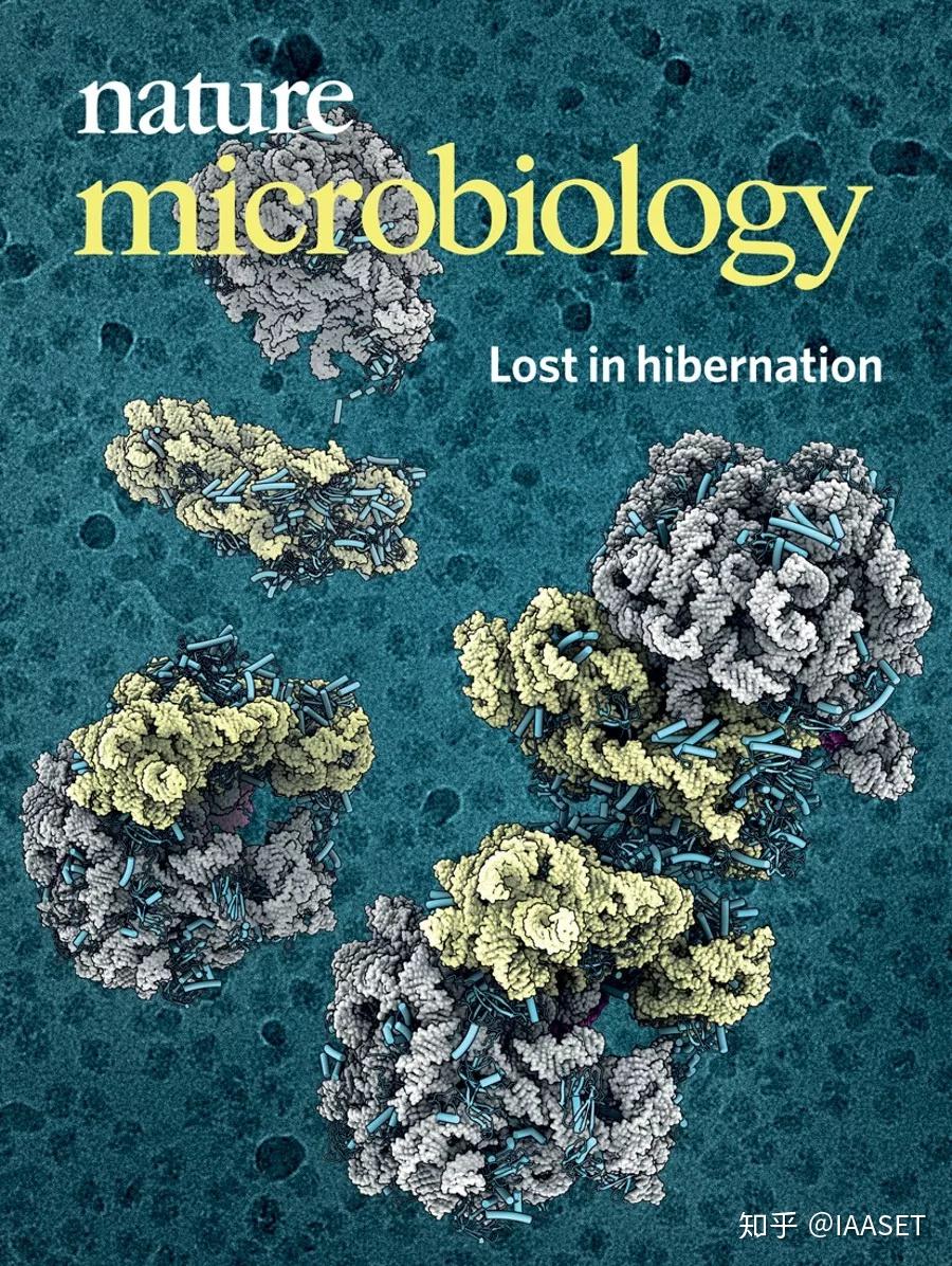 10月Nature子刊的45张封面，你pick哪一张？ - 知乎