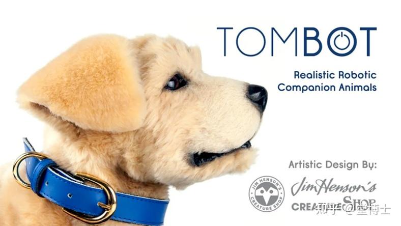 宠物/陪伴机器人成为新风口！或将抢先人形席卷千家万户？（上） - 知乎