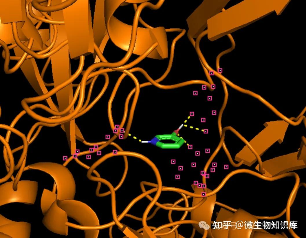 分子对接（六）：PyMol可视化分子对接结果详细教程 - 知乎