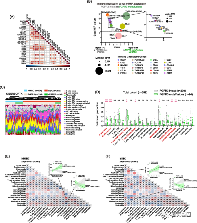 Mol Cancer | 膀胱癌中FGFR3变异对肿瘤微环境和免疫检查点抑制剂疗效的影响 - 知乎