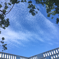 详解Pytorch 自动微分里的（vector-Jacobian product） - 知乎