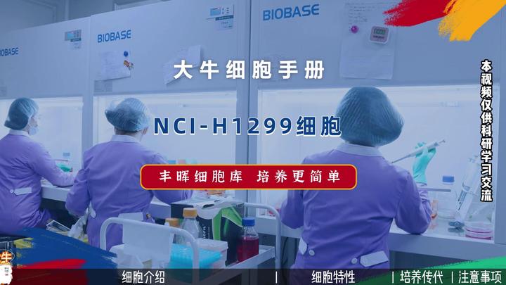 NCI-H1299细胞培养，人非小细胞肺癌细胞培养攻略 - 丰晖生物 - 知乎