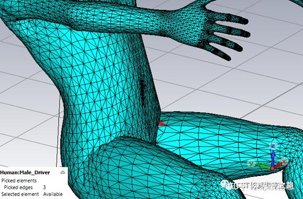 CST软件如何将均匀人体空心2D模型填充3D - 知乎
