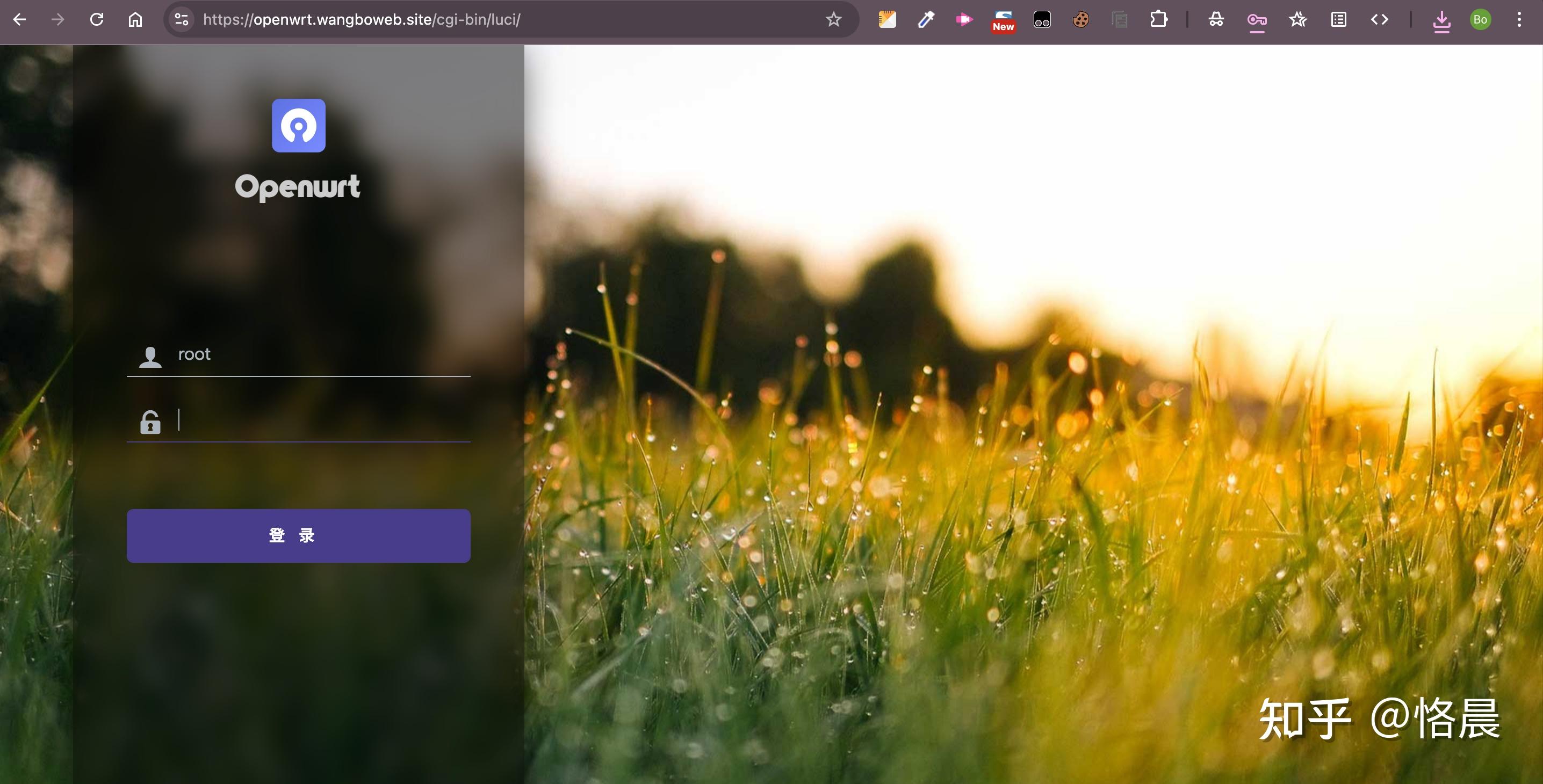 Openwrt + frp + nginx proxy manager实现无端口域名访问内网服务 - 知乎