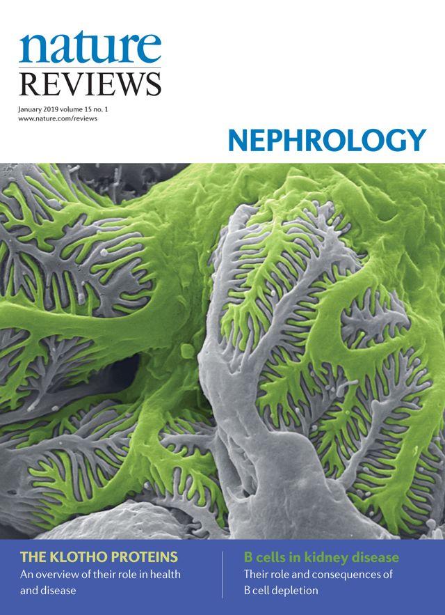 48张Nature1月子刊封面高清大图汇总，你最喜欢哪一张？ - 知乎