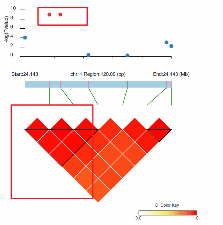 GWAS分析完，要做单倍型图，还要做单倍型的显著性分析？ - 知乎