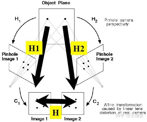 BEV-LaneDet - 知乎