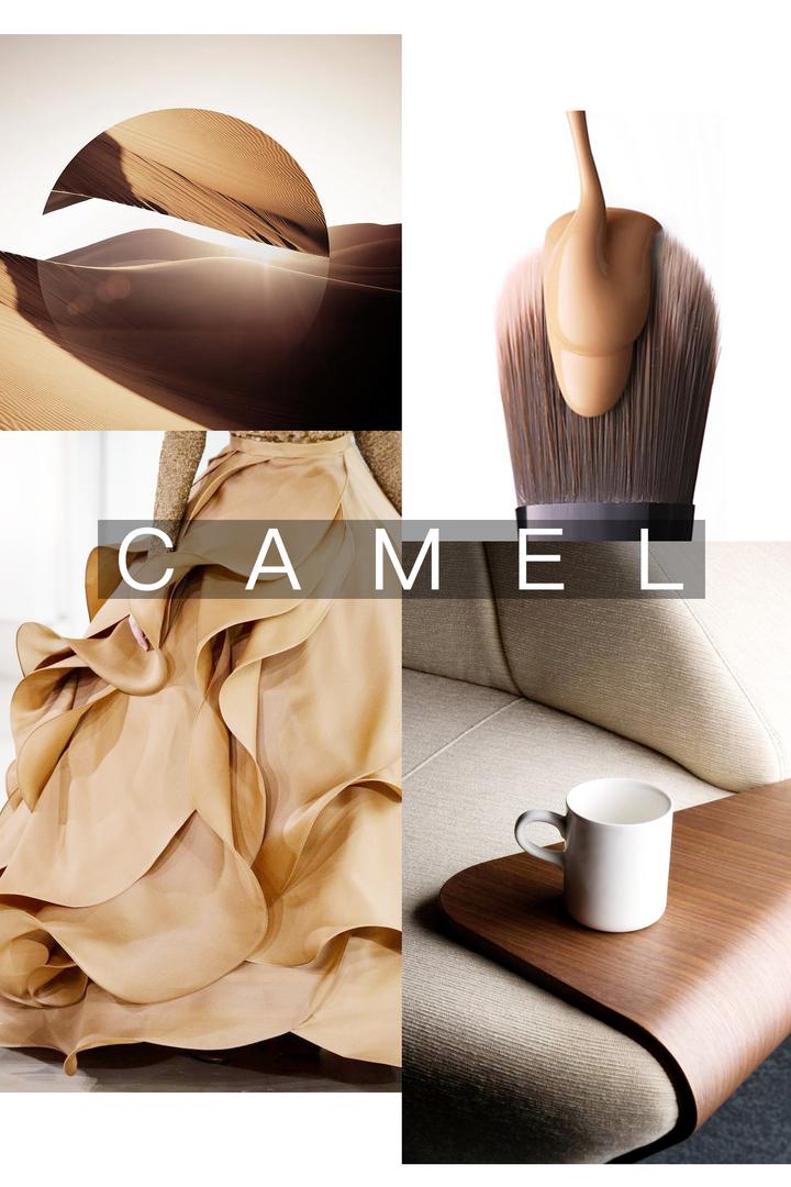 LACONIC｜CAMEL富有质感高级色 - 知乎