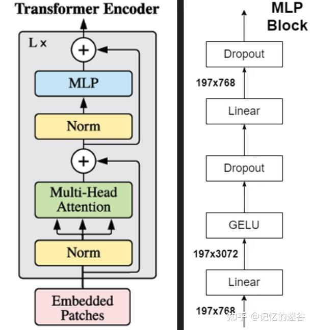 【ICLR2021】ViT : Vision Transformer解读（论文+源码） - 知乎