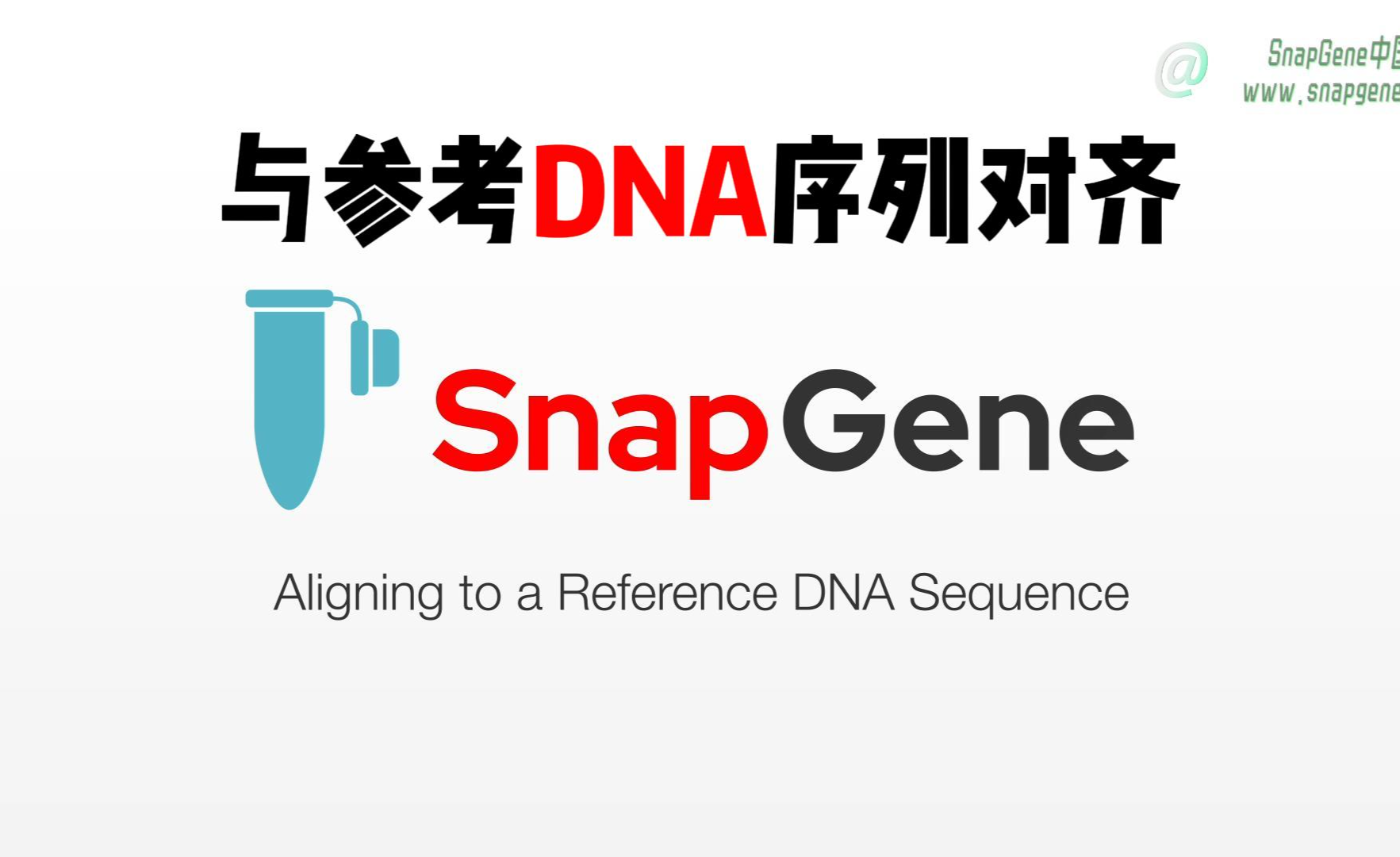 SnapGene 与参考DNA序列对齐 - 知乎