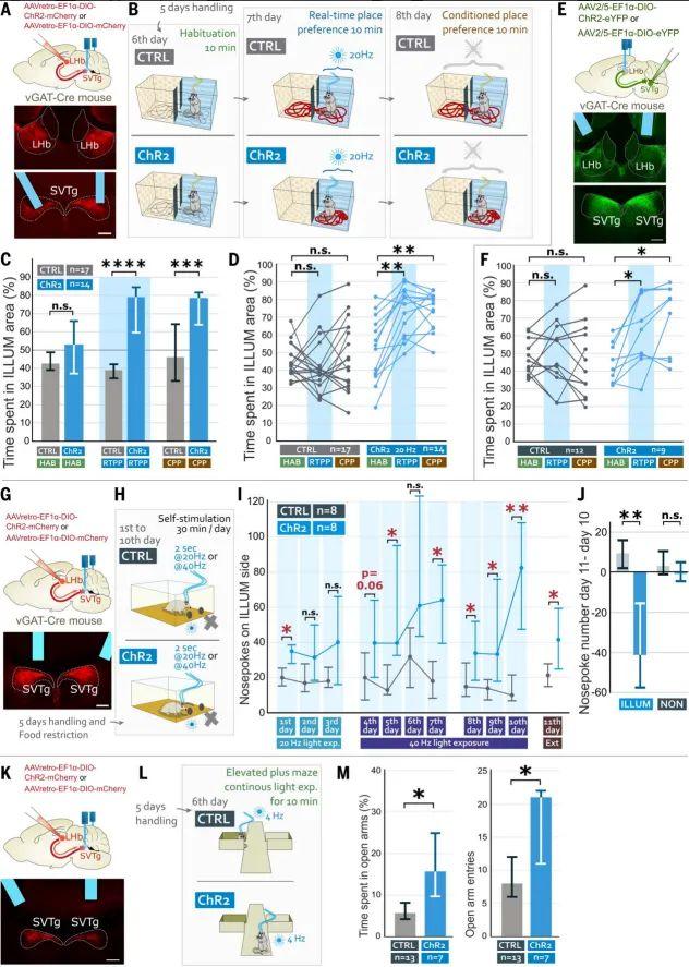 Science：最新的奖励中枢 - 知乎