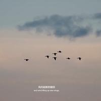 衍生工具結算系統 DCASS - 知乎