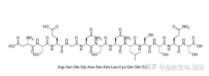 FITC-Asp-Ser-Glu-Gly-Asn-Ser-Asn-Leu-Cys-Ser-Gln-Ser - 知乎