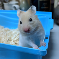 Python多进程并行编程实践-mpi4py的使用 - 知乎