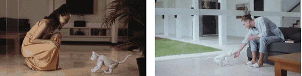 MarsCat仿生猫：你独特的宠物伴侣 - 知乎