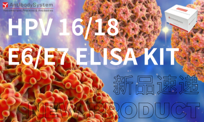 新品速递 |当ELISA KIT遇见HPV16/18 E6/E7，蛋白追踪大戏即将上演 - 知乎