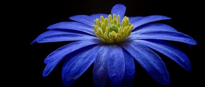 js中compositionstart和compositionend事件 - 知乎