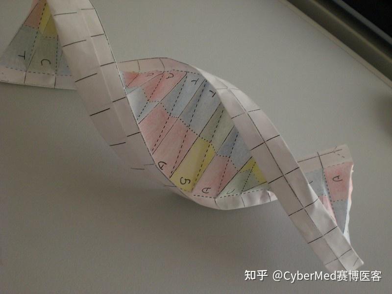Repligen 将 1.5 亿美元的 Avitide 收购视为实现基因治疗目标的关键 - 知乎