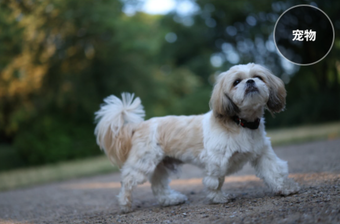 如何评价佳能 RF 50mm F1.4 L VCM 微单镜头？ - 知乎