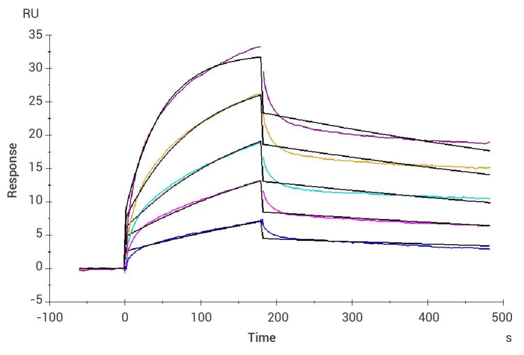 SPR技术原理是什么？ - 知乎