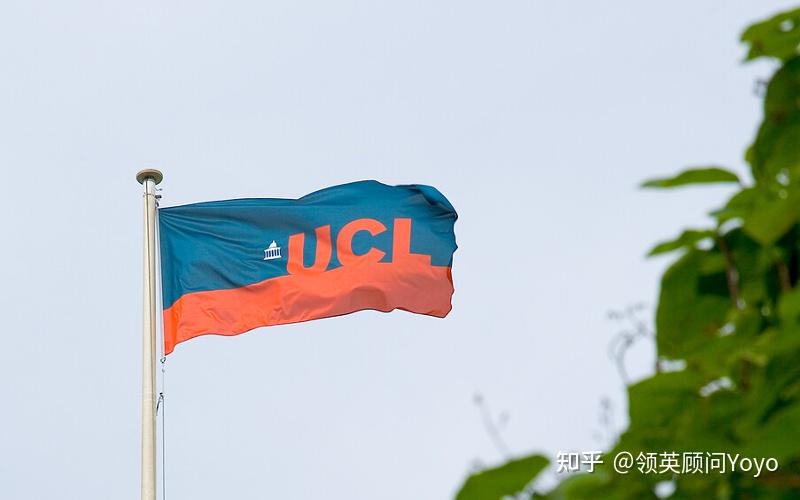 申IC/UCL/LSE的中国学生都在卷什么专业？ - 知乎