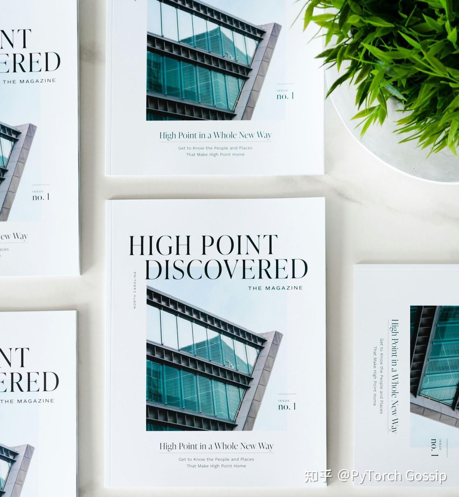 docTR 加入 PyTorch 生态系统：从像素到数据，使用 PyTorch 和 docTR 构建识别工作流 - 知乎