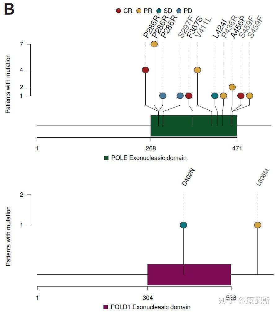 前沿 | POLE/POLD1突变，全新的肠癌免疫治疗指导标志物 - 知乎