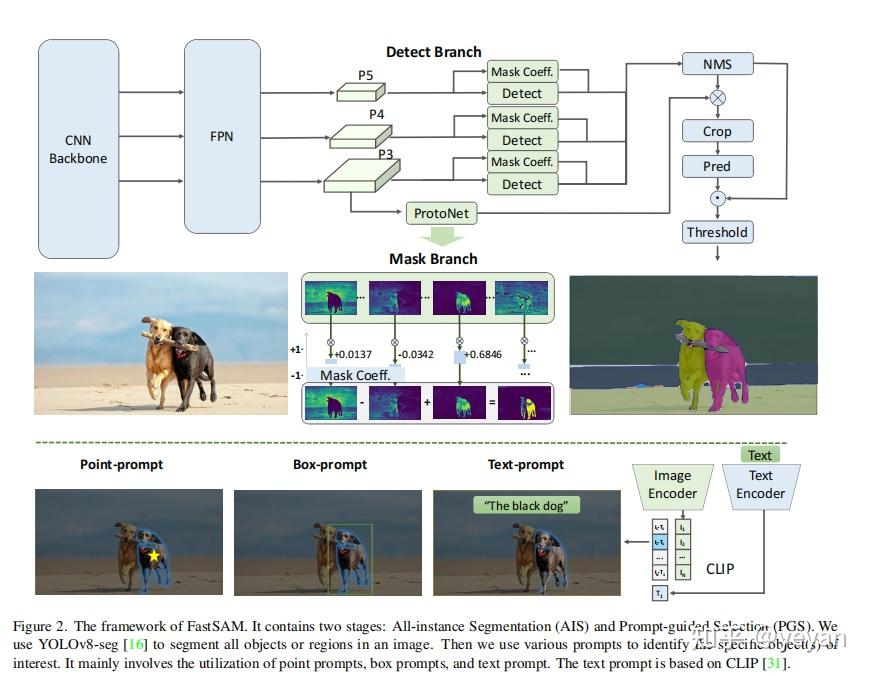 [论文解读]比sam快50倍的通用视觉模型fastsam(Fast Segment Anything) - 知乎