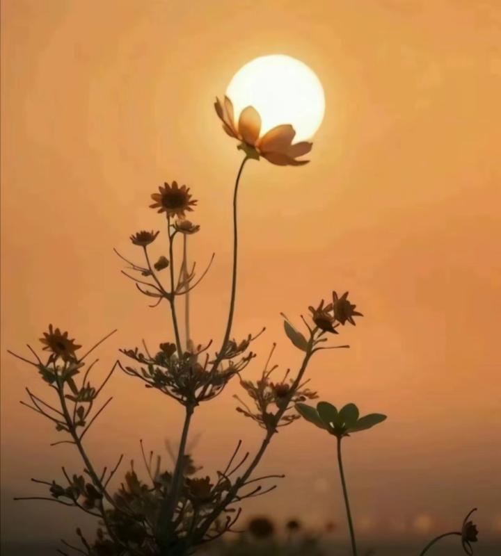 【EVP_EncodeBlock】-- 转换ASCII 字符串 - 知乎