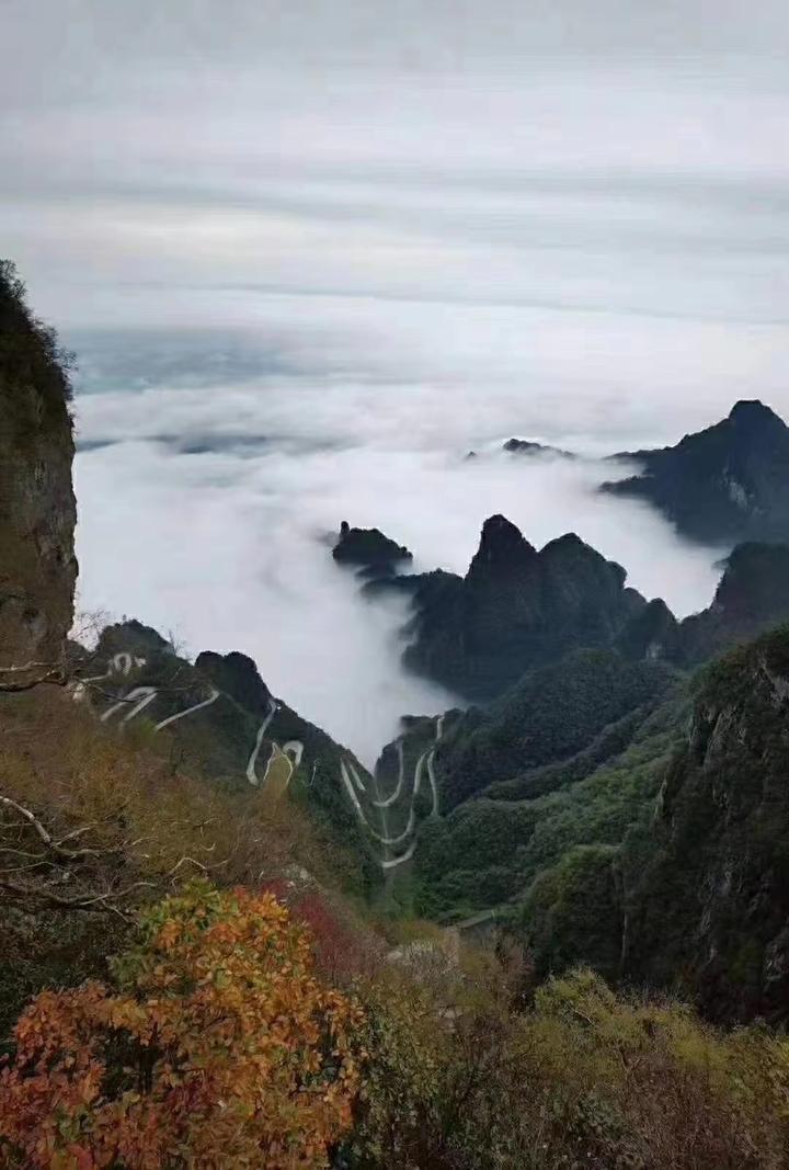 MacBERT: 中文自然语言预训练模型(2020年11月论文) - 知乎