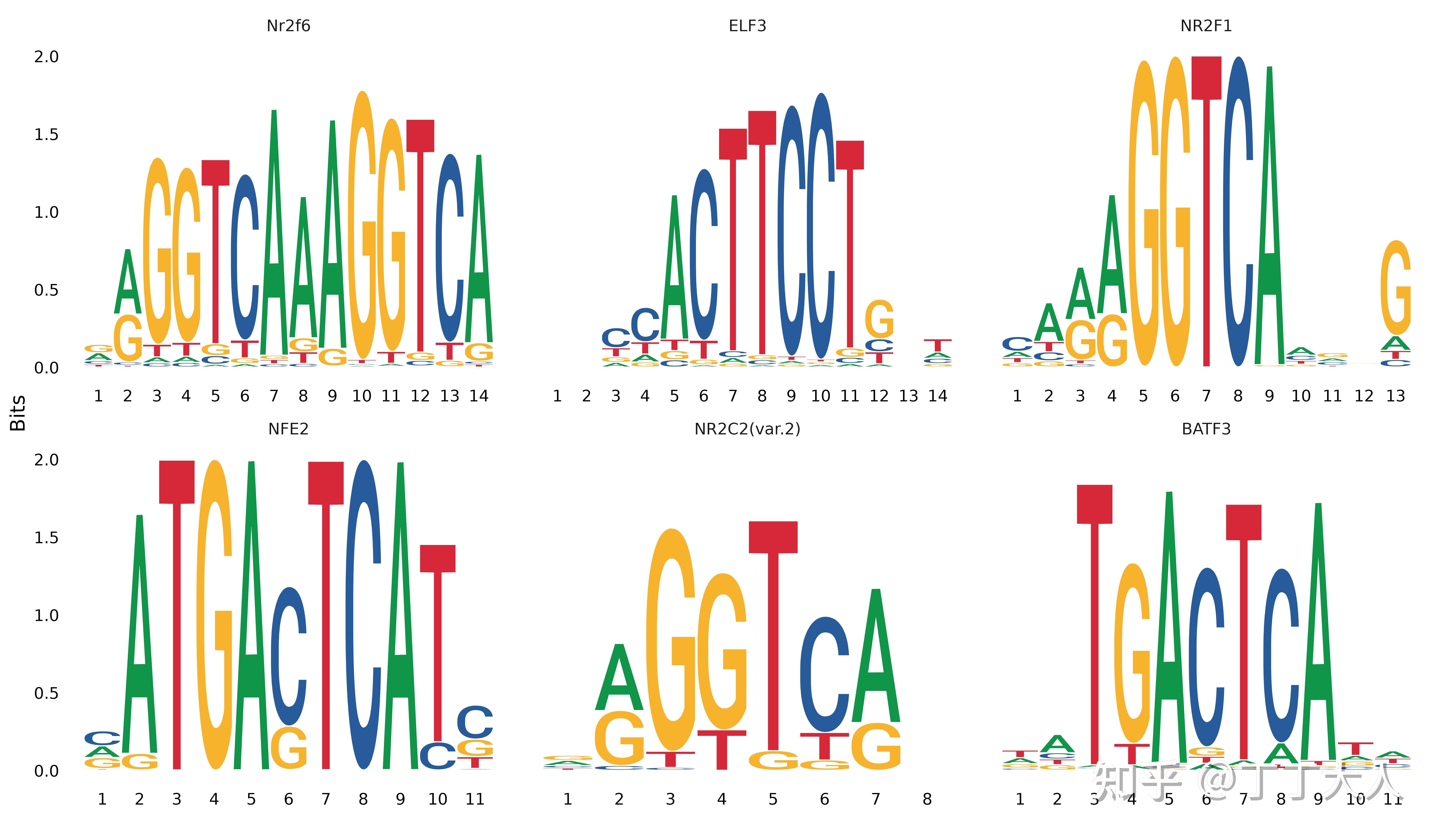 TF Motif分析 - 知乎