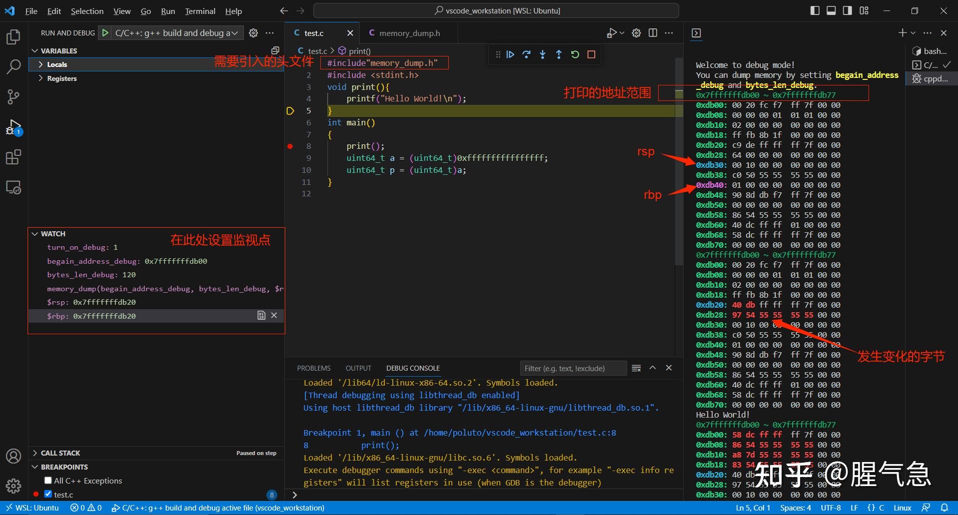 vscode, C/C++, debug, 查看内存 - 知乎