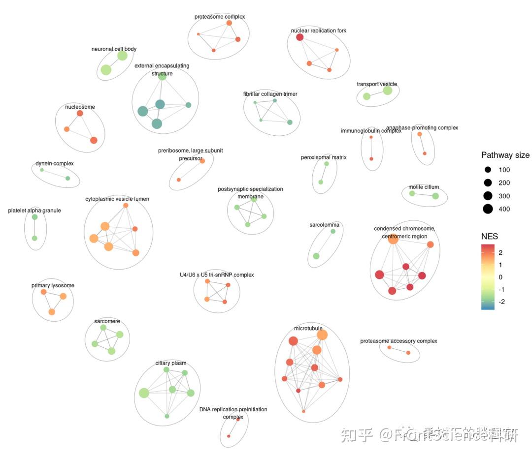 aPEAR: an R package for enrichment network visualisation - 知乎