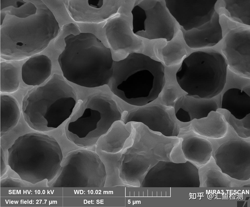 SEM 场发射扫描电子显微镜 - 知乎