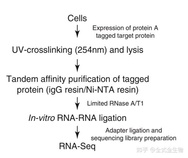 LncRNA的作用机制及研究方法 - 知乎
