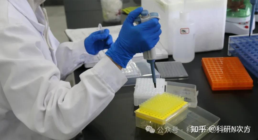 科研干货 | WB、ELISA、IHC 三大实验，听我的！一文全搞定！ - 知乎