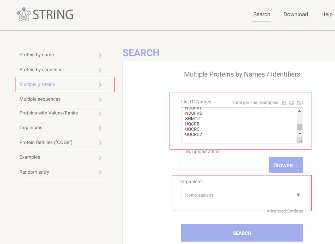 跟着 NC 学作图 | 互作网络图进阶(蛋白+富集通路)(Cytoscape) - 知乎