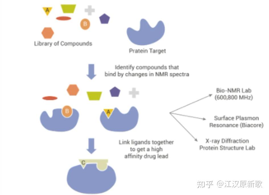利用FBDD技术发现一款全新结构的SHP2变构抑制剂 - 知乎