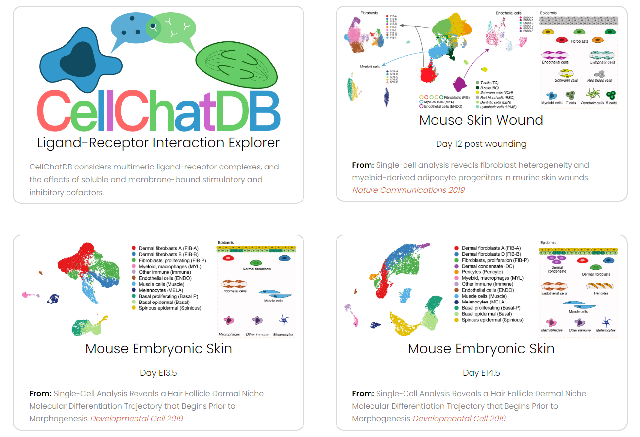 CellChat细胞通讯分析（上）--文献解读 - 知乎