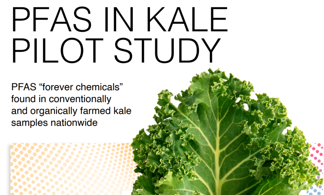 微污染物PFAS对健康危害大！新研究：这种绿色蔬菜也含有它！ - 知乎