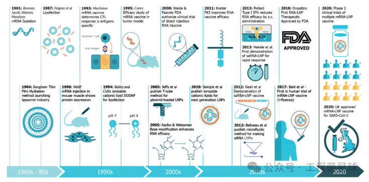 【耀文解读】mRNA技术的新星—自复制RNA(saRNA)技术的回顾与展望 - 知乎