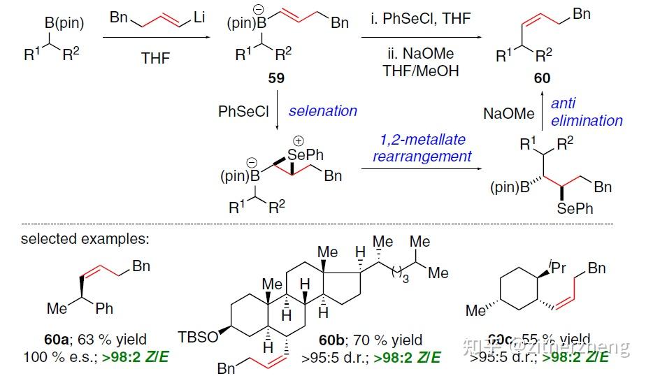 【有机人名反应】Zweifel 烯基化 - 知乎