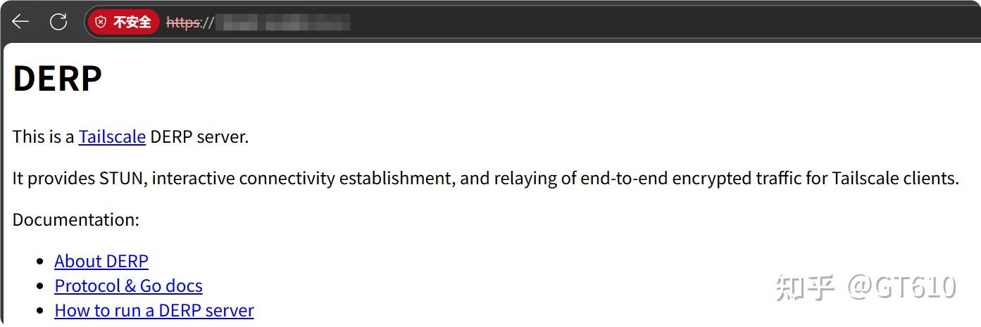 在没有域名的 NAT 主机上，部署 Tailscale 中继节点（DERPER） - 知乎