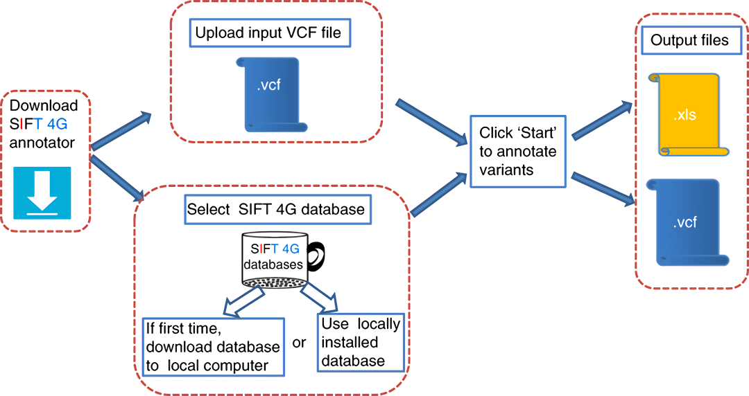 经典工具 | 使用SIFT预测错义突变的有害性 - 知乎